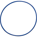 $41.42 - CHSH2 - 24 Inch Hula Hoop - Pack of 12 - Champion Sports ...